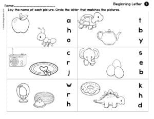 What's the Beginning Letter: Free Phonics Worksheets